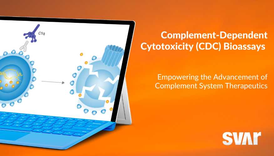 Understanding Complement-Dependent Cytotoxicity (CDC) in Therapeutics: Key Insights for ...